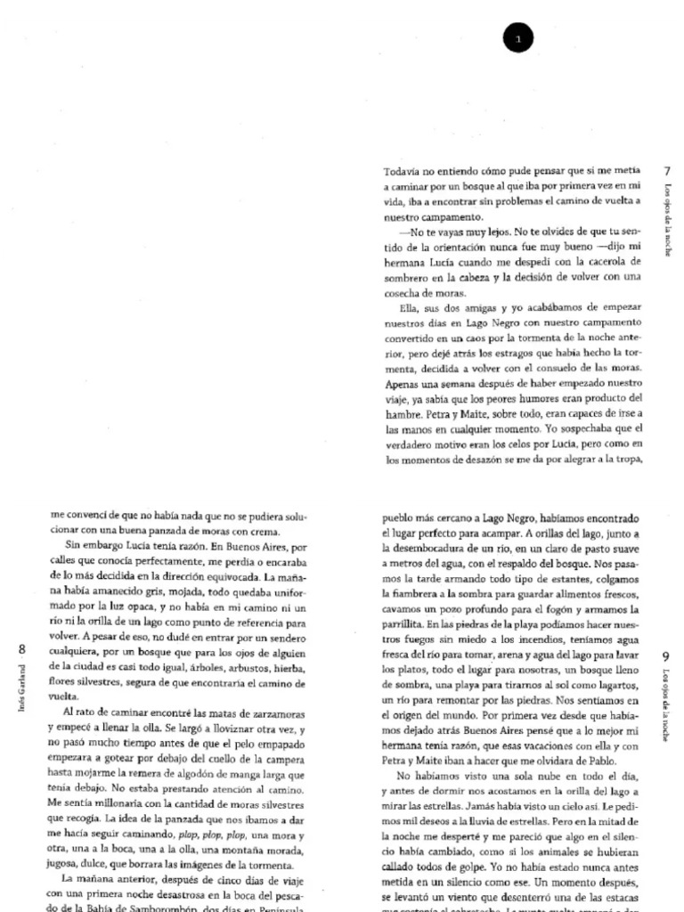 Libro Los Ojos de La Noche | PDF