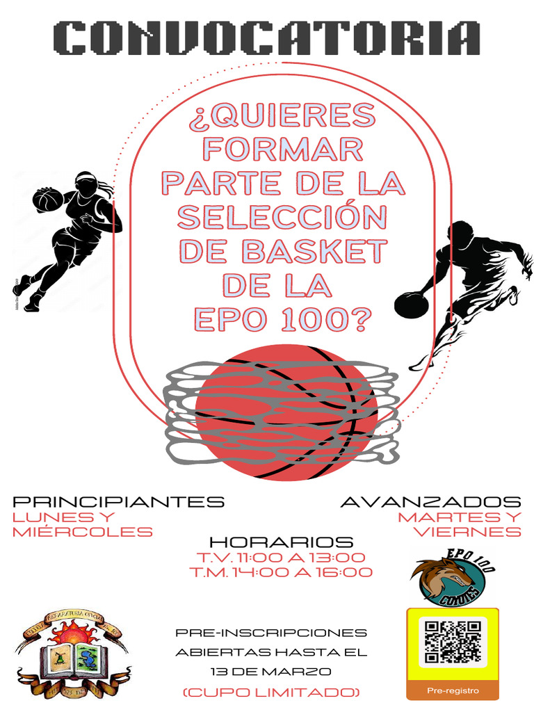 Flayer Basket - 250310 - 114935 | PDF
