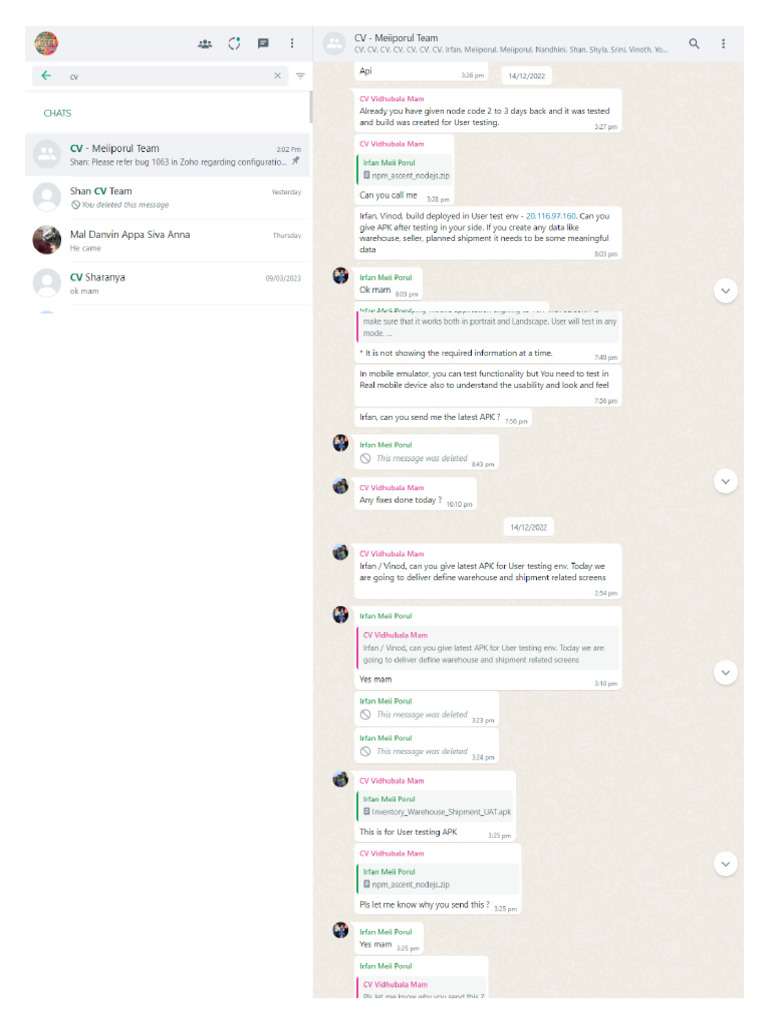Screencapture Web Whatsapp CV Meii | PDF