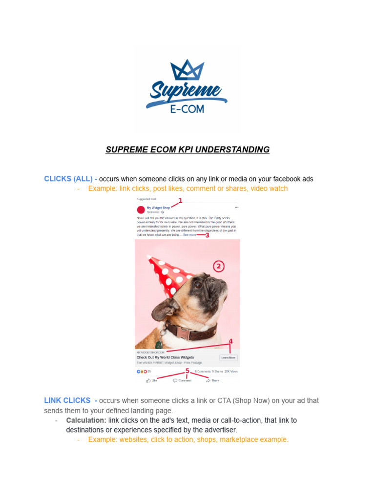 Supreme Ecom KPI Understanding | PDF | Facebook | Promotion And ...