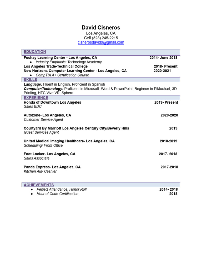 David Cisneros: Tech-Savvy Professional | PDF