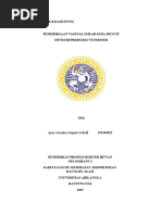 Gambar Alat Reproduksi Sapi Betina | PDF