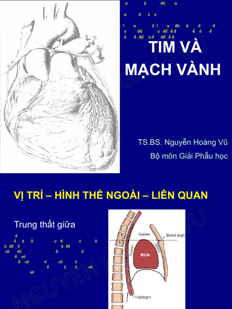 GP03 Tim Và M CH Vành | PDF