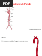 Anatomie de l'Aorte et ses Branches | PDF | Aorte | Thorax