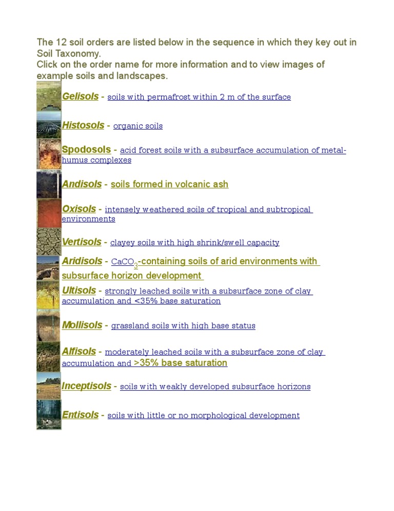12 Soil Order | PDF | Soil | Soil Science