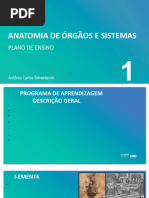 Panículo Adiposo: Estrutura e Funções | PDF | Tecido adiposo | Anatomia