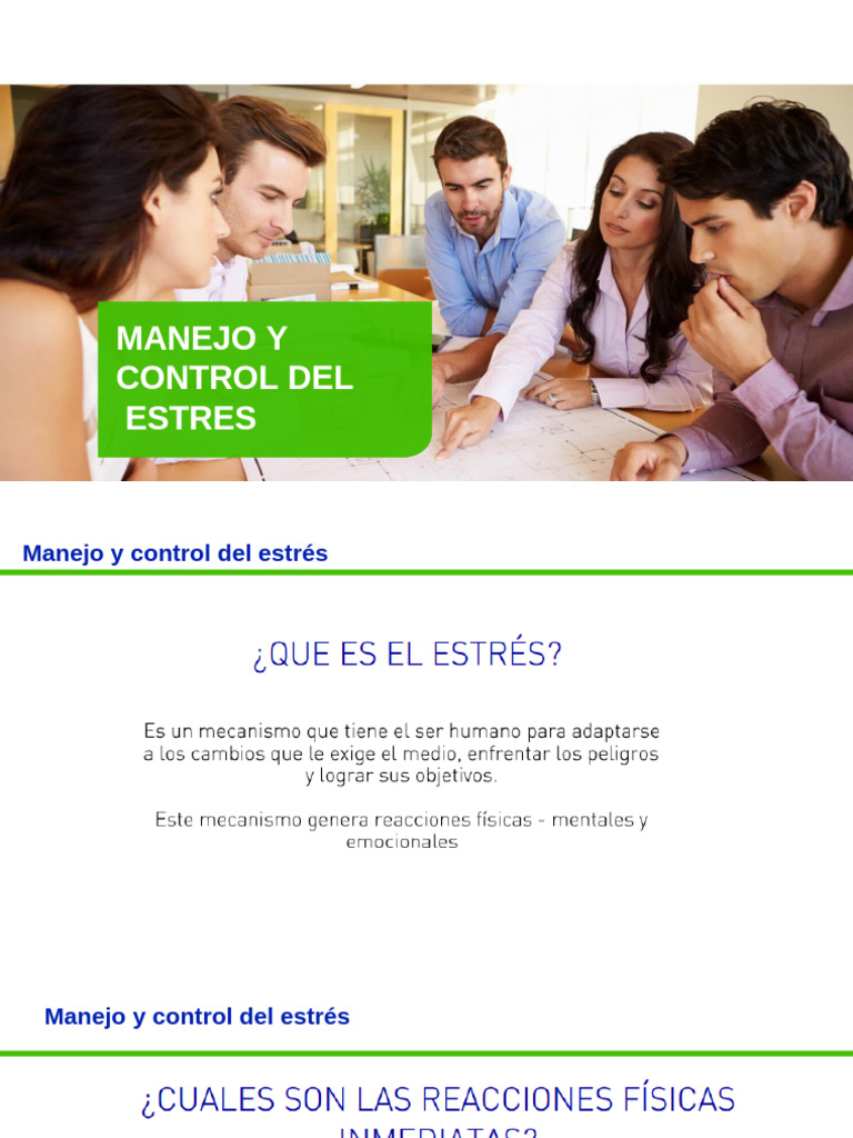 Manejo y Control Del Estres | PDF