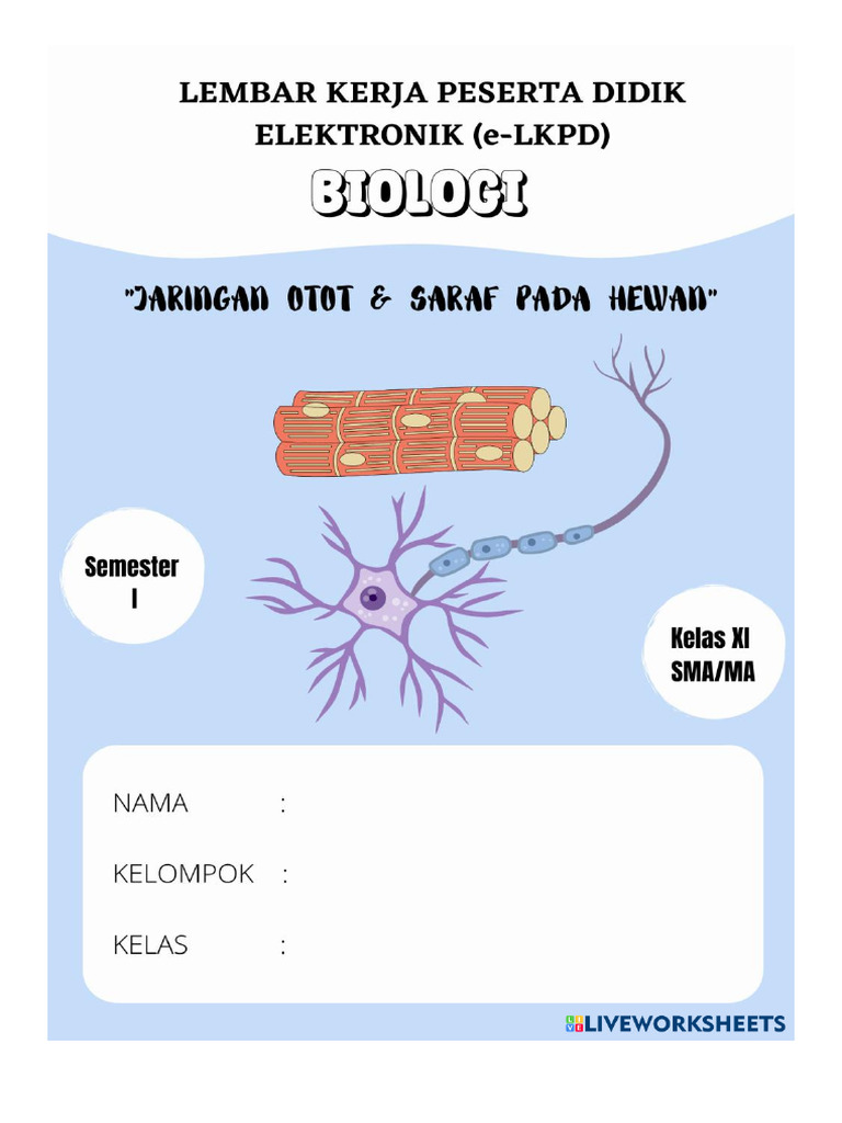 LKPD jaringan otot & jar. saraf | PDF