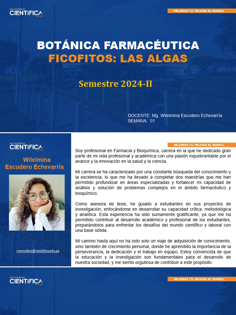 s1 - Clase Ficofitos Algas | PDF | Algas | Plantas