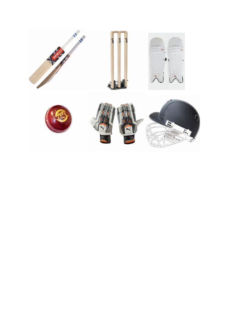 Cricket | PDF