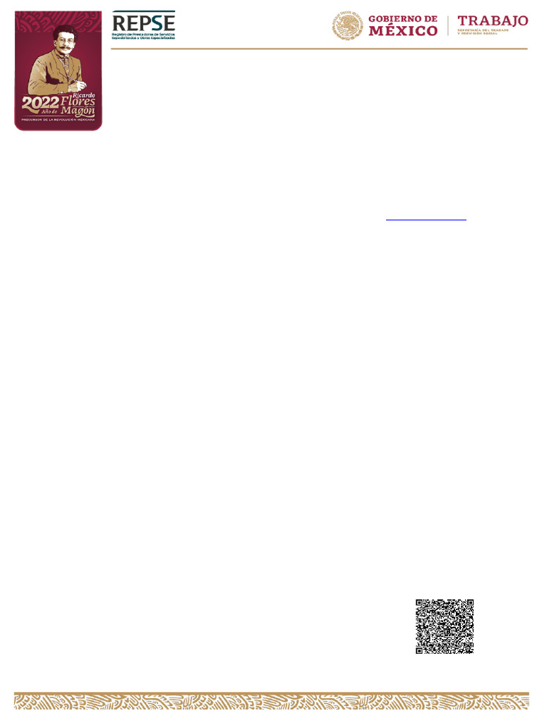 REPSE | PDF | Gobierno