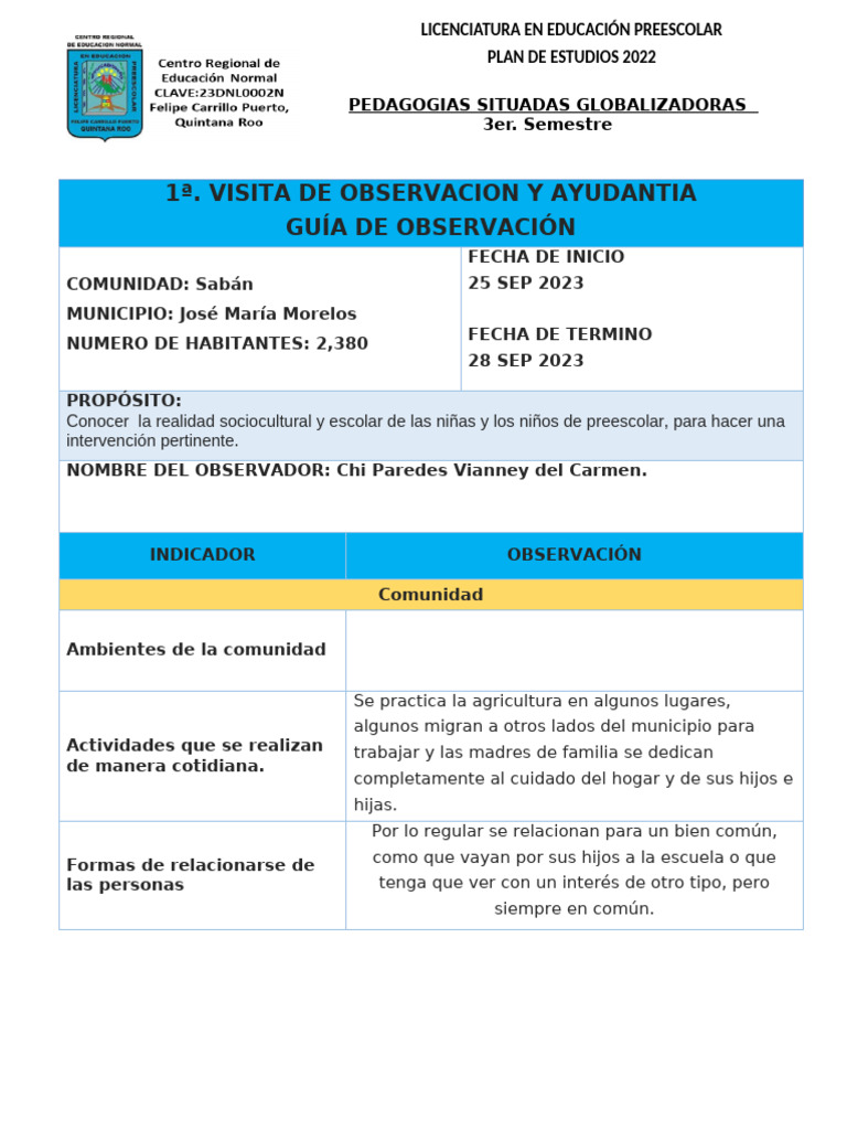 Guion de Observación Ceci | PDF | Educación de la primera infancia | Escuelas