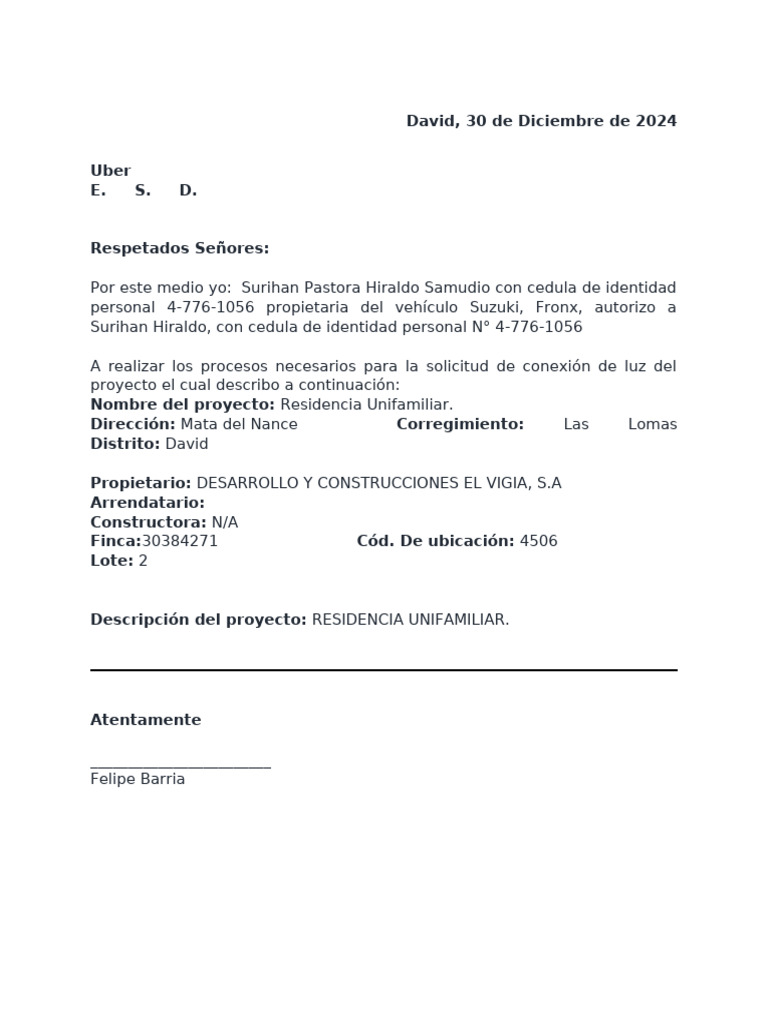 AUTORIZACION NATURGY | PDF