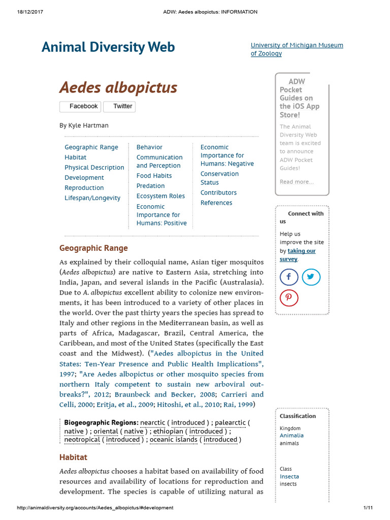 Aedes Albopictus Animal Diversity Web-PRINTED | PDF | Mosquito | Predation