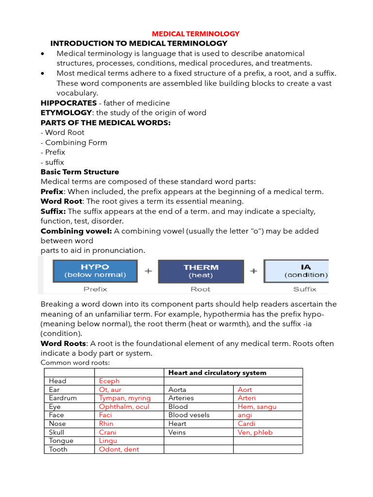 Understanding Medical Terminology Basics | PDF | Linguistics | Anatomy
