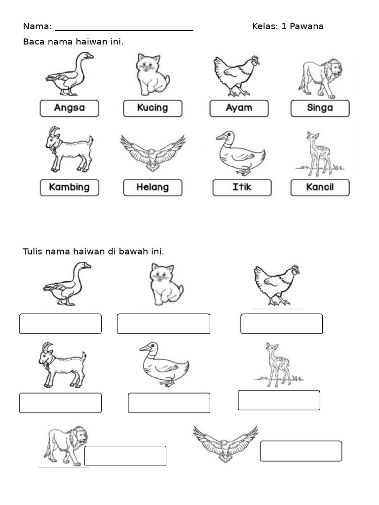 Lembaran Haiwan | PDF