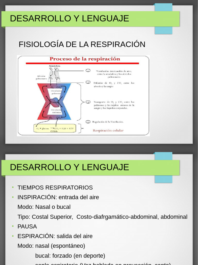 Fisio Respiracion y Fonacion | PDF