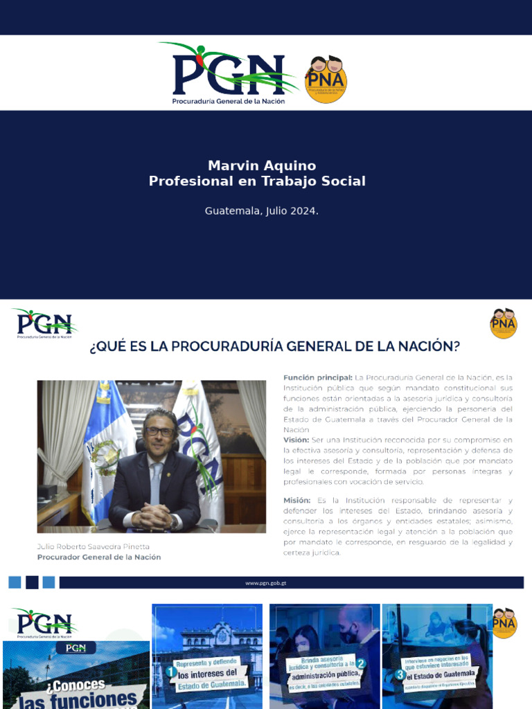 Presentacion PGN | PDF