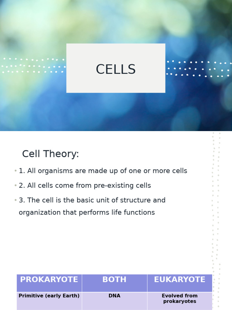 Cells | PDF