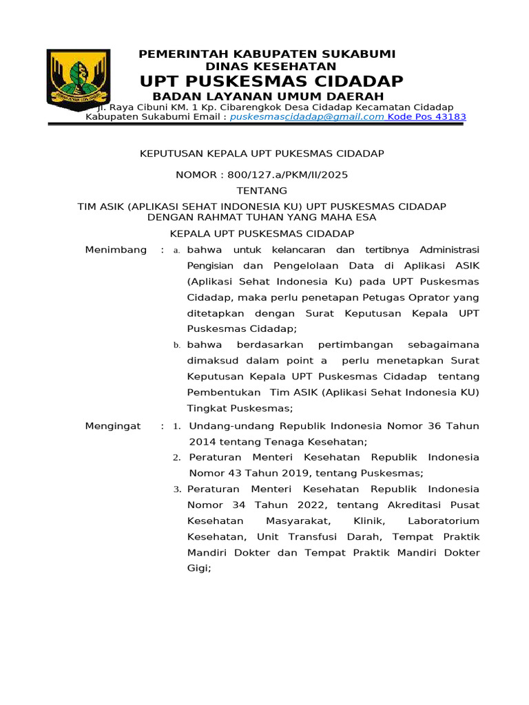 SK TIM ASIK Puskesmas | PDF