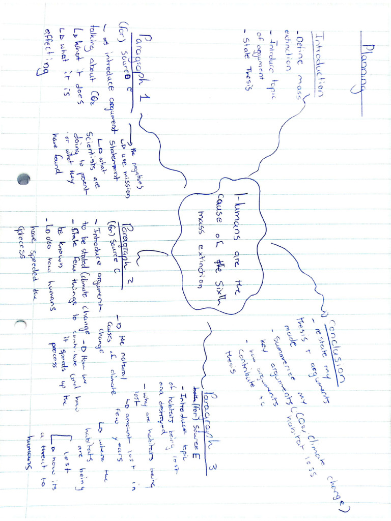 Argumentative Essay PLAN ONLY | PDF