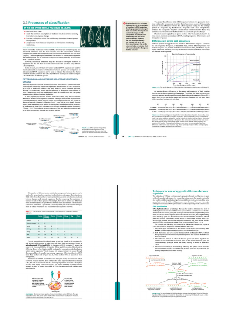 2 2 | PDF