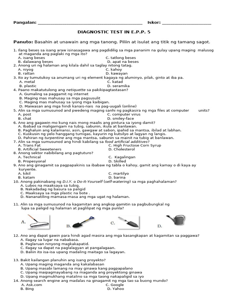 Diagnostic-Test-in-EPP-5 With Answer Key | PDF