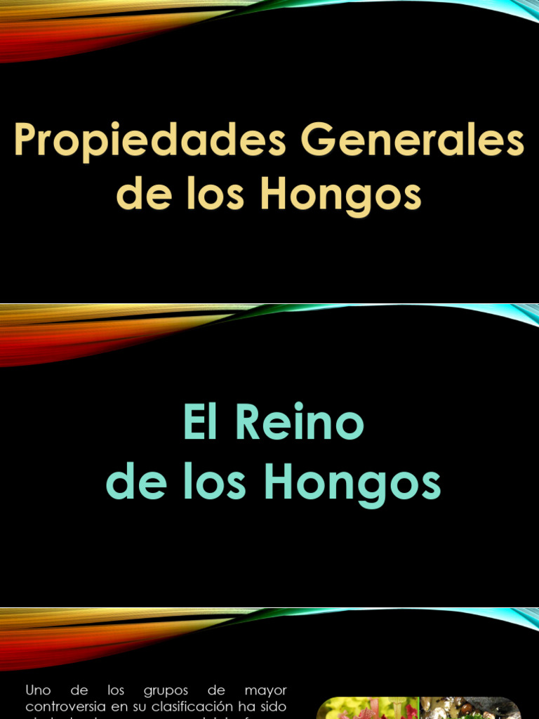 Propiedades de Los Hongos | PDF | Hongo | Plantas