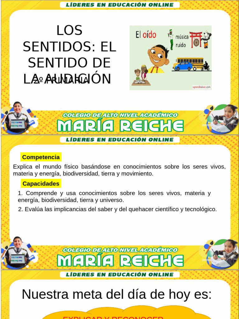 El Sentido de La Audicion (1) | PDF | Sentidos | Oído