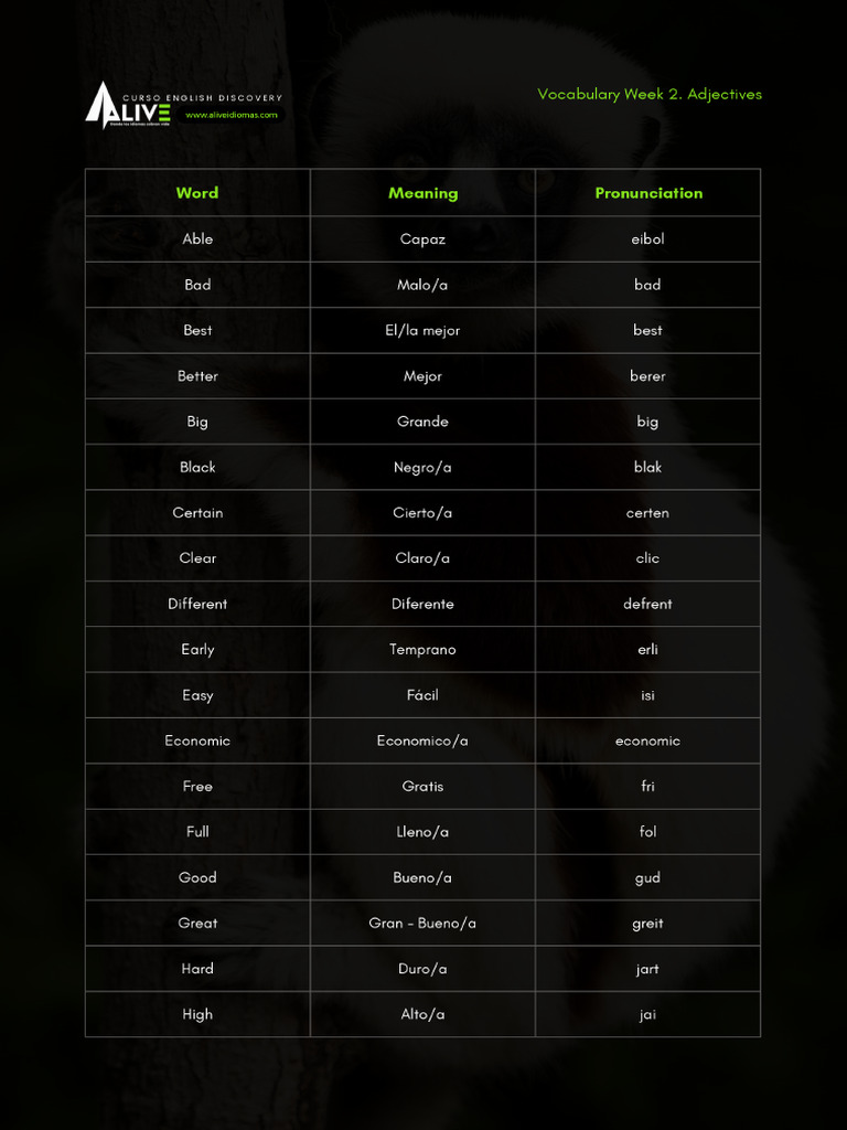 Week 2 Vocabulary - Adjectives | PDF