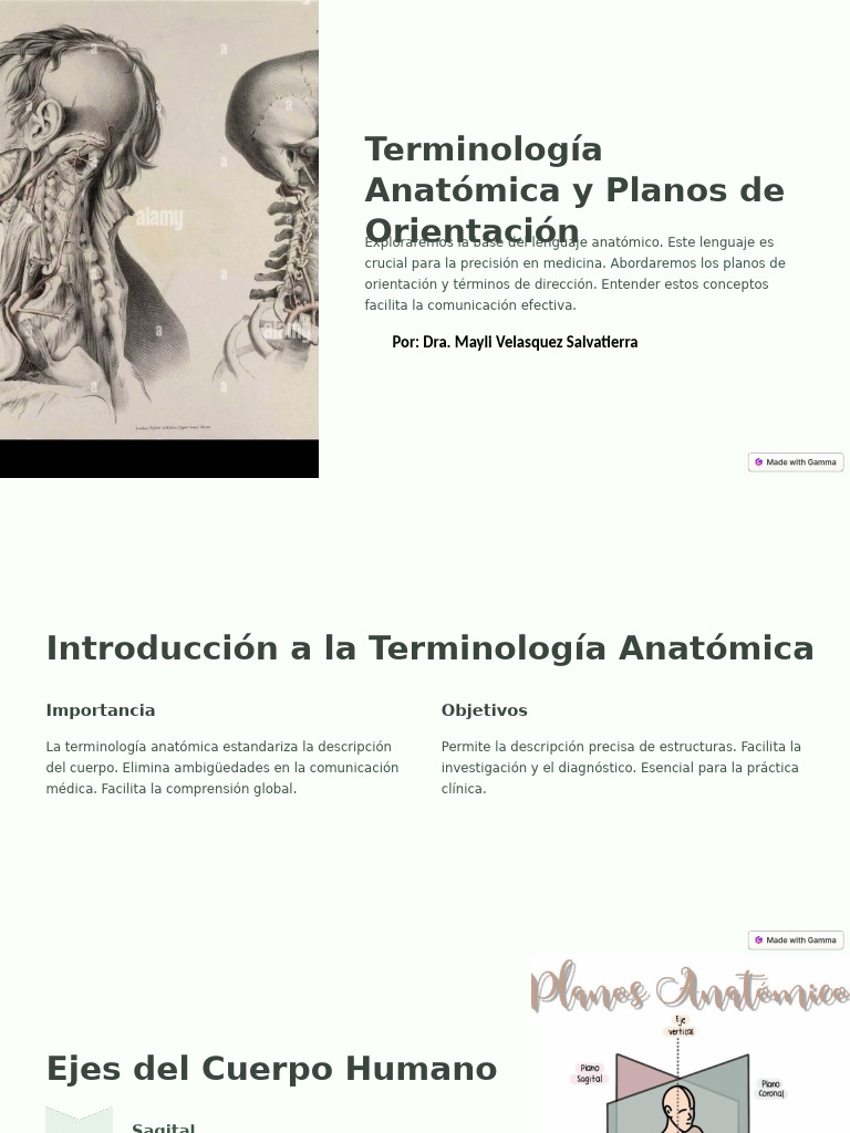 Terminologia Anatomica y Planos de Orientacion | PDF | Términos ...