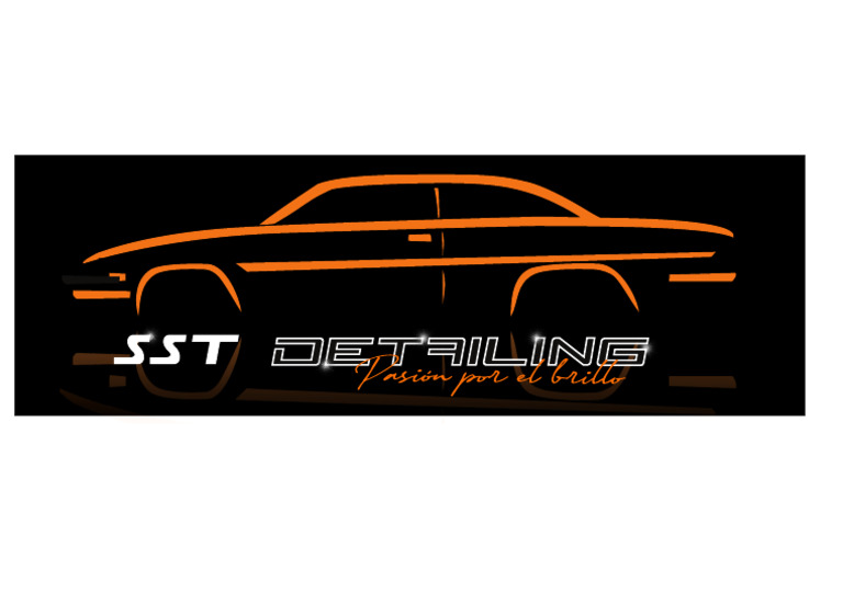 SST Logo | PDF