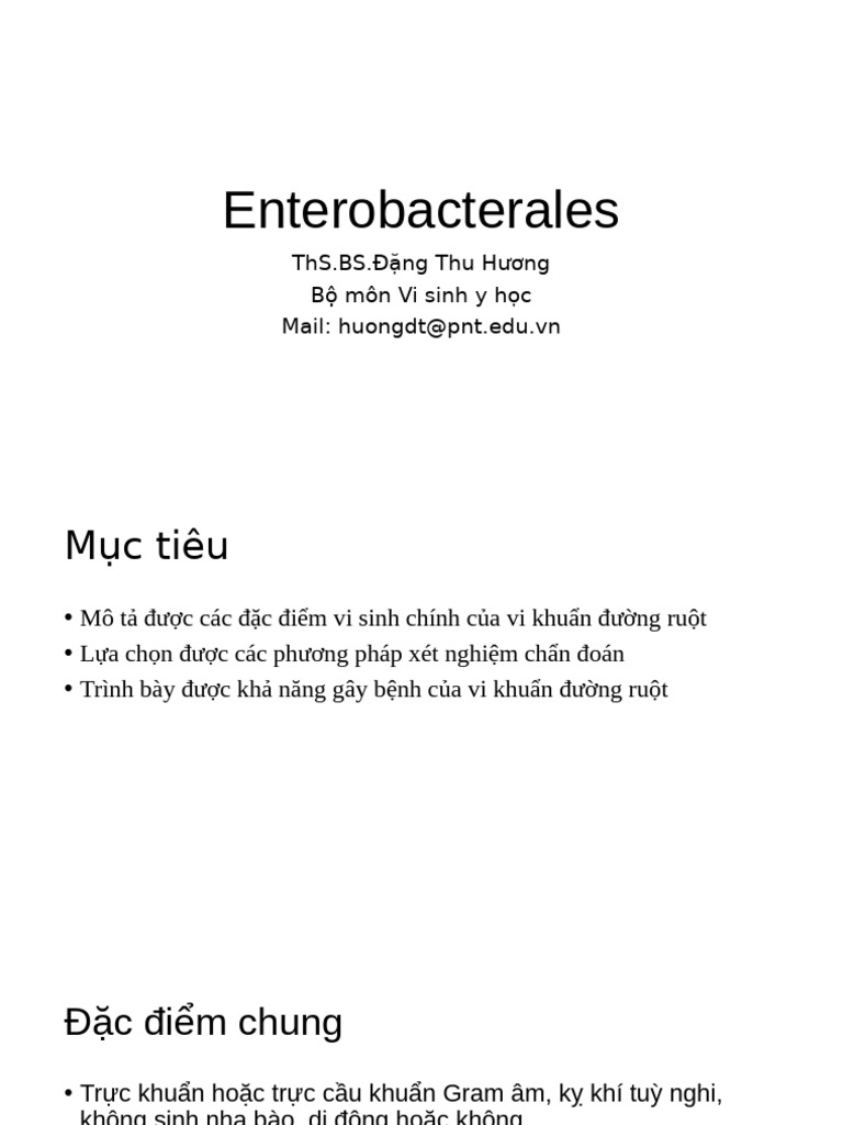 Enterobacterales 2024 | PDF