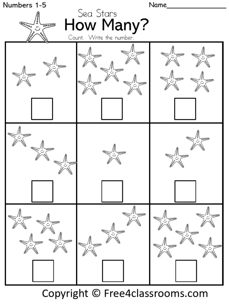 How Many Sea Stars v1 r5wp0d | PDF