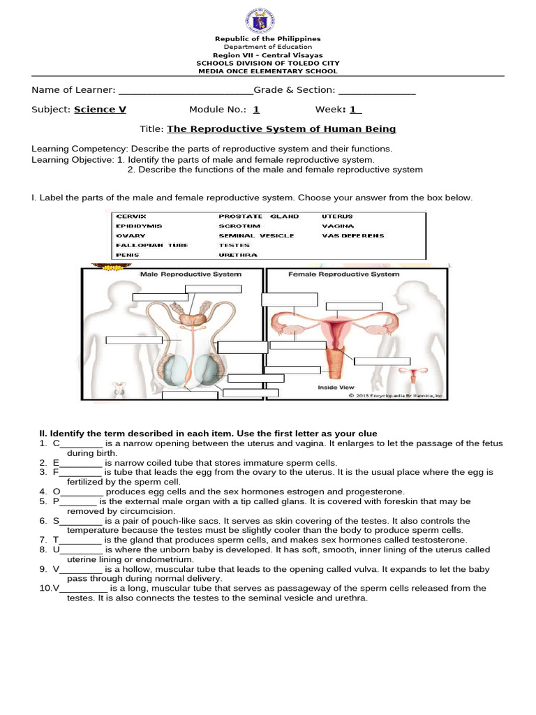 LAS-SCIENCE-Q2-W1 | PDF