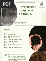 Características dos Chernossolos | PDF | Solo | Matéria orgânica