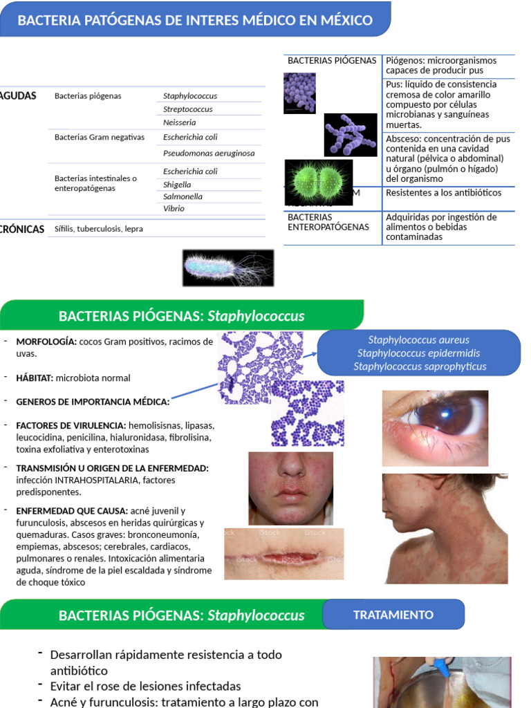 Bacterias Patógenas en México: Tipos y Tratamientos | PDF | Diarrea ...