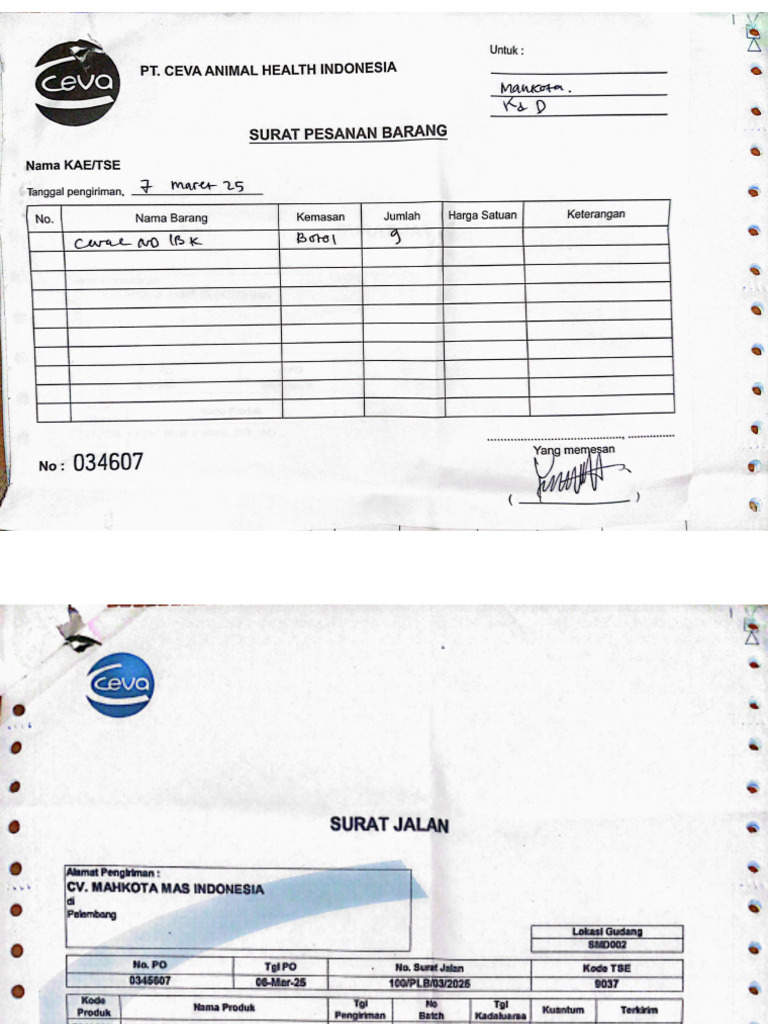 Scan SJ 100-103 PLG Mar 25 | PDF