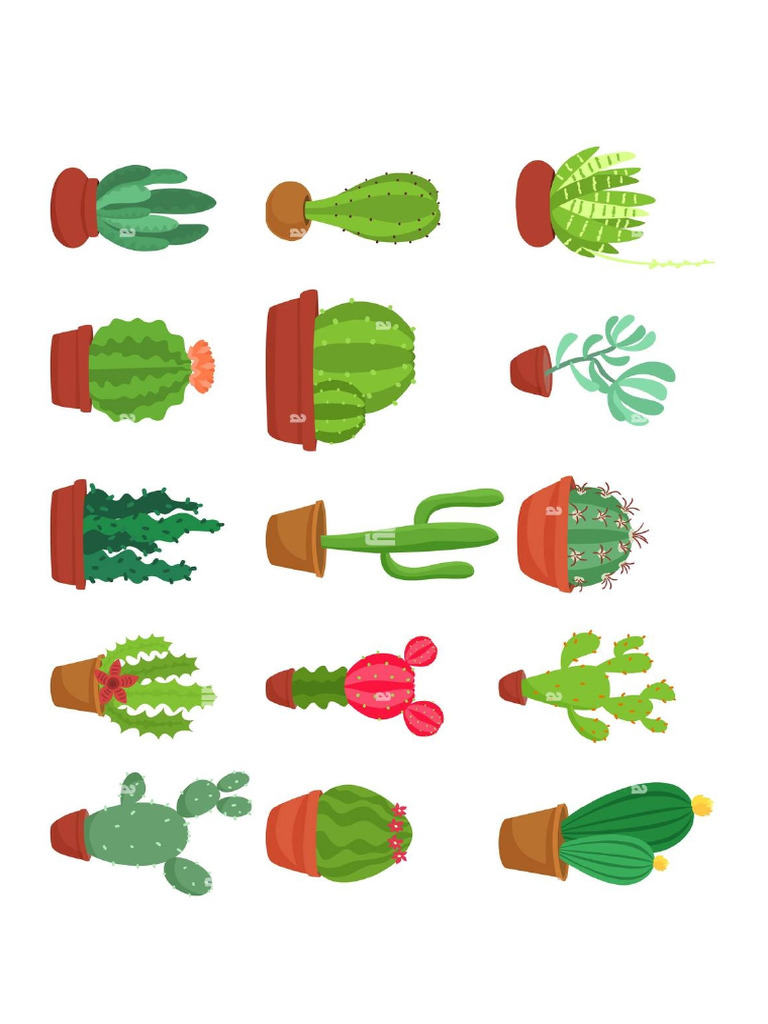 Cactus | PDF