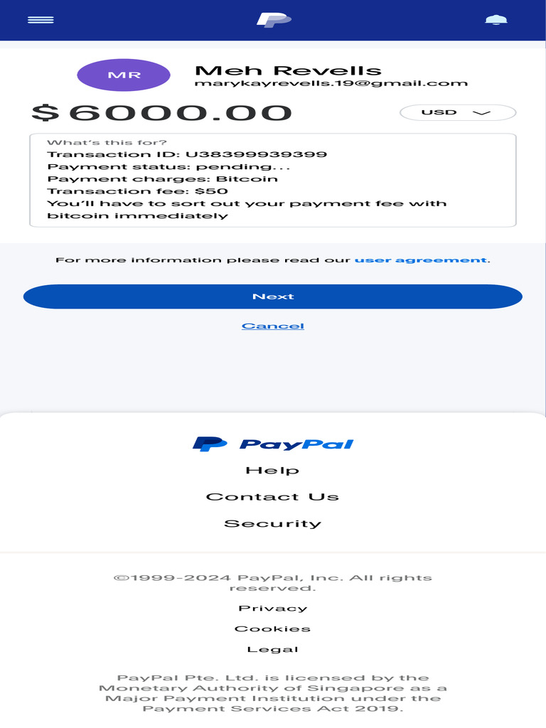 PayPal Make A Payment Preview 3 | PDF