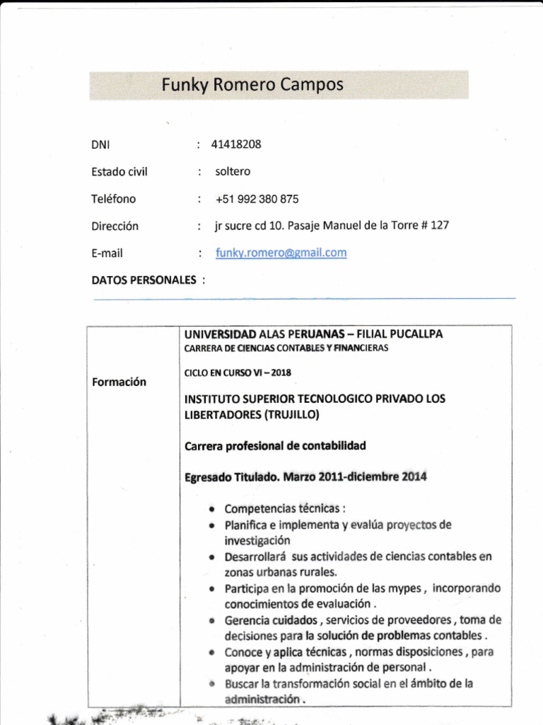 CV de Funky Perfil 1-1 | PDF | Procesos de negocio | Economias