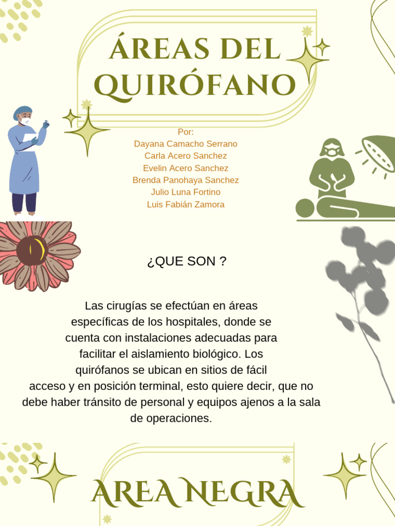 Areas Del Quirofano | PDF | Cirujano | Cirugía