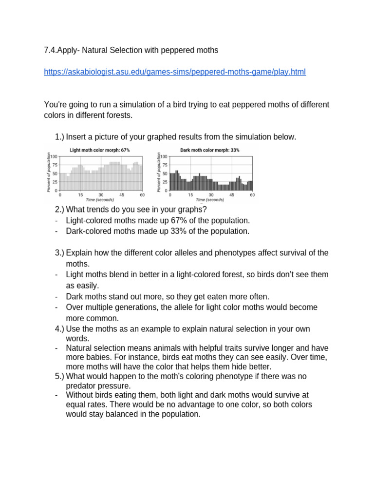 Harry.Apply- Natural Selection with peppered moths (2) | PDF