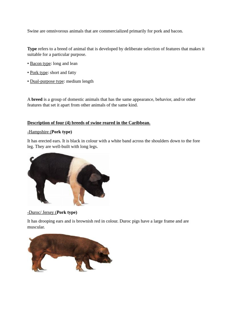 Type and Breed | PDF