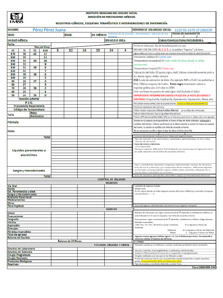 Registros Clinicos Imss Ejemplo Actualizado 2o Nivel 2025 Editable | PDF