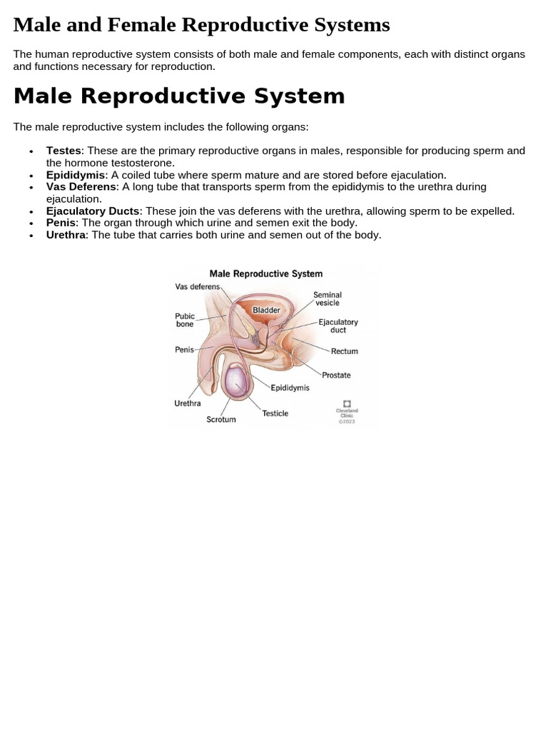 Male and Female Reproductive Systems | PDF | Reproductive System ...