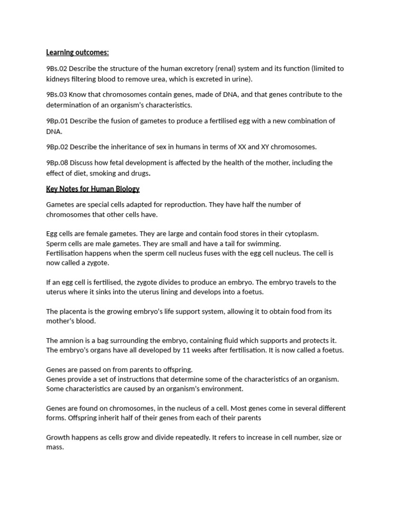 Grade 8 key outcomes | PDF | Leaf | Photosynthesis