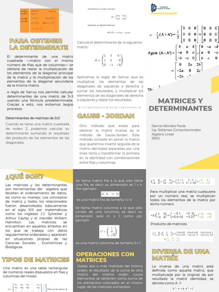 Triptico | PDF | Matriz (Matemáticas) | Determinante
