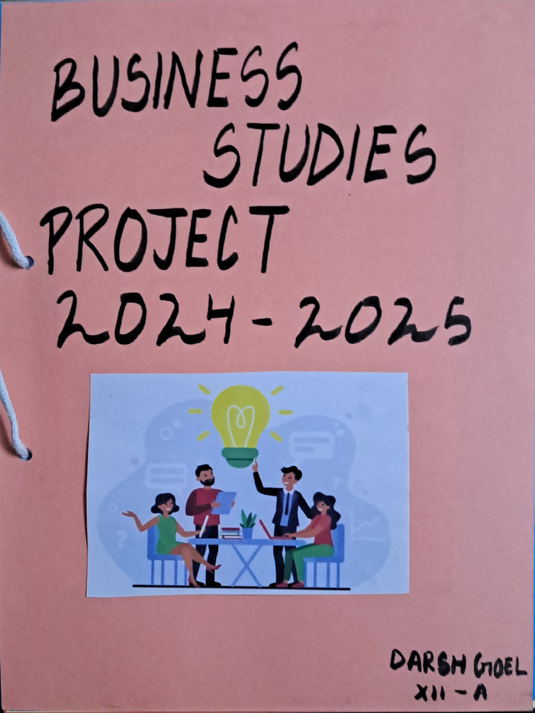 Business Studies Project Class 12 | PDF