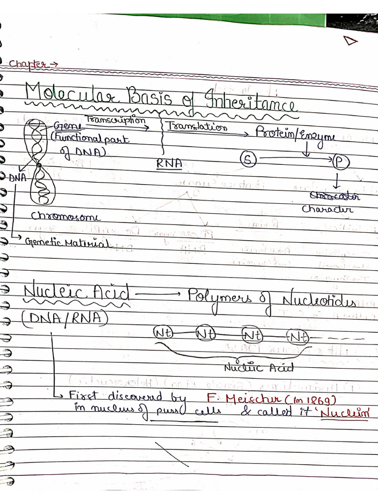 DocScanner 20 Jan 2025 01 59 PM | PDF